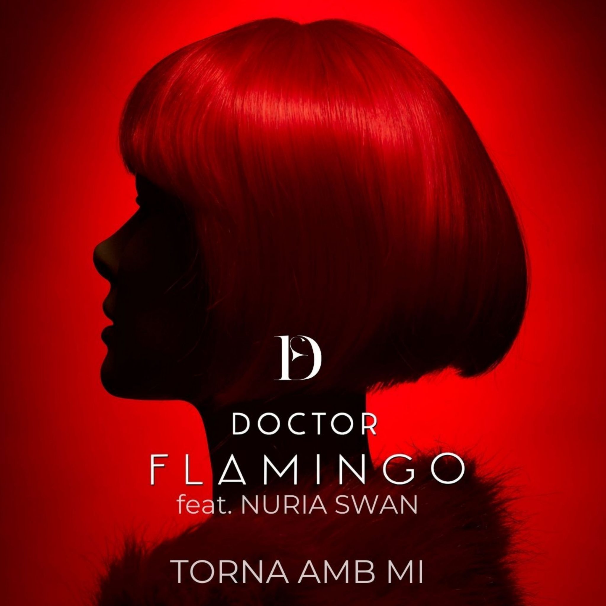 DOCTOR FLAMINGO – DOCTOR FLAMINGO nos sorprende con su álbum debut con ...